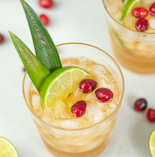 Spiced Cranberry Holiday Mai Tai - The Boozy Ginger