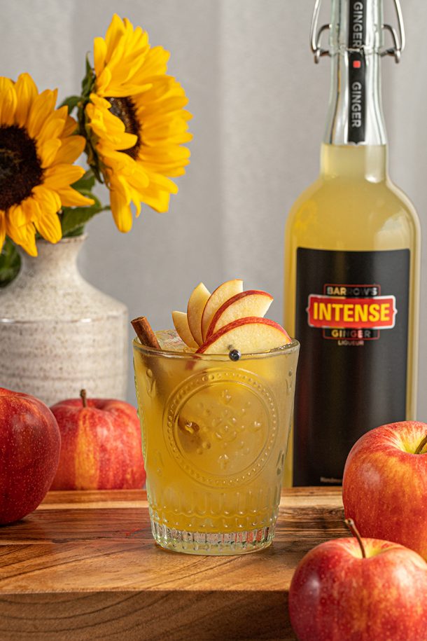 Ginger and Apple Cider Cocktail - The Boozy Ginger