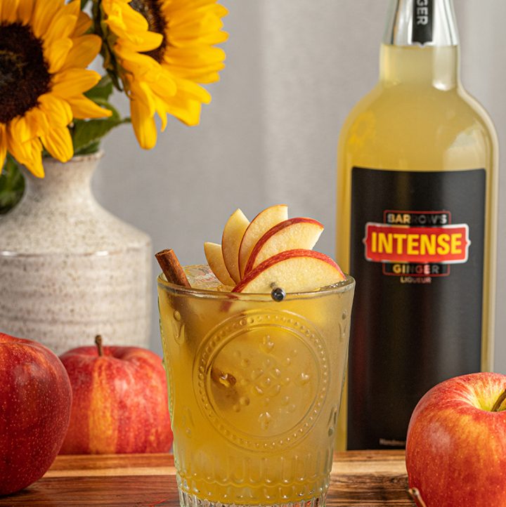 Ginger and Apple Cider Cocktail - The Boozy Ginger