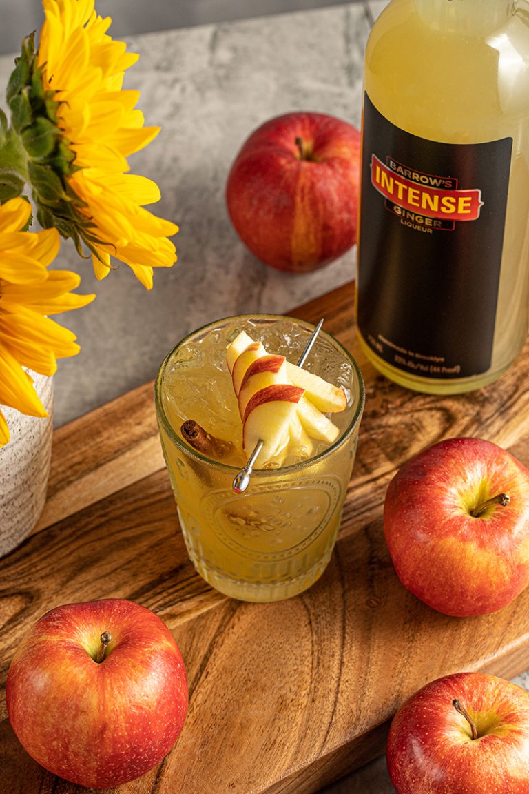 Ginger and Apple Cider Cocktail - The Boozy Ginger
