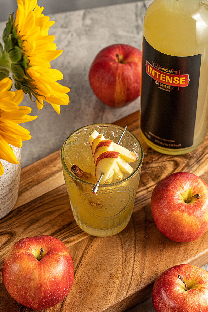 Ginger and Apple Cider Cocktail - The Boozy Ginger